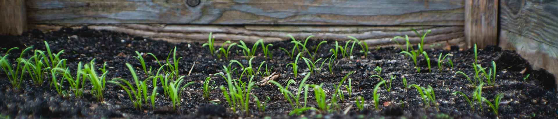 GEME Kobold: Transforming Food Waste to Dirt Rapidly | GEME